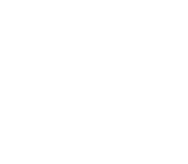 San Diego Surf Cup - Surf Sports